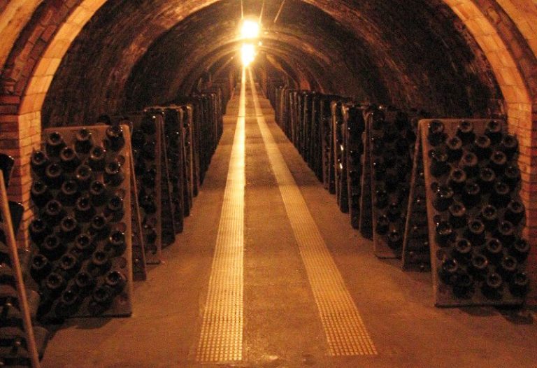 Cava, the sparkling wine from Catalonia | Came4Wine - Your Wine Travel ...
